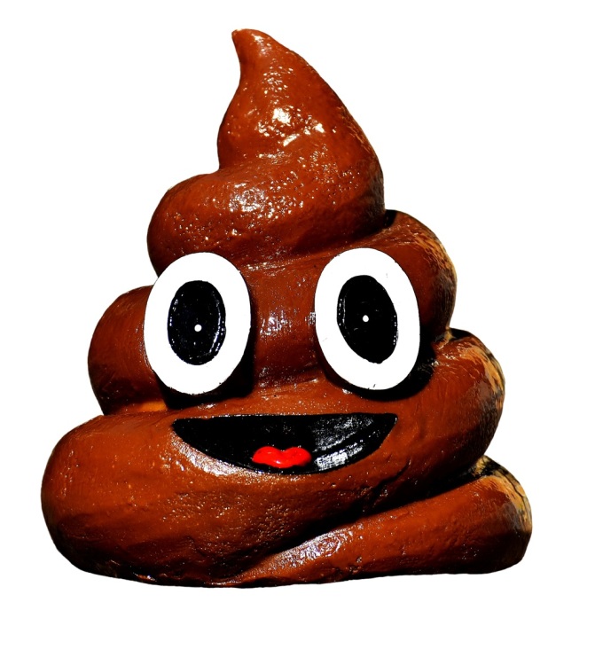 The Installer | Glazing Industry News